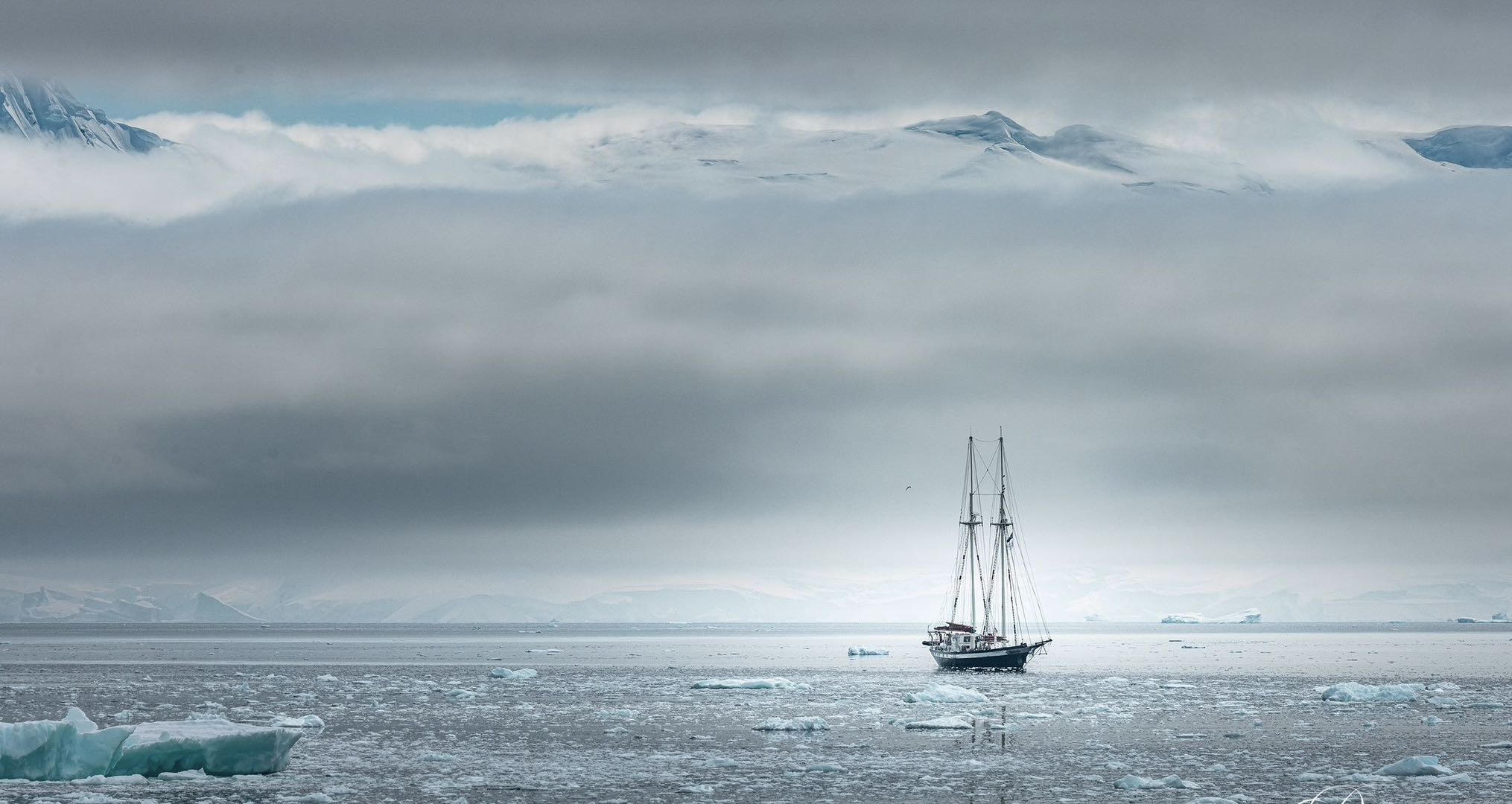 News – M31 Capital